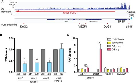 remarkable improvement in detection of readthrough downstream of gene