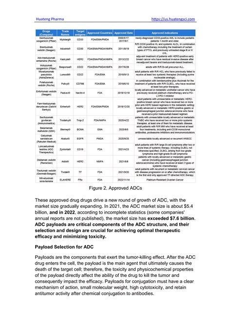 A Comprehensive Guide To Adc Payload Classespdf