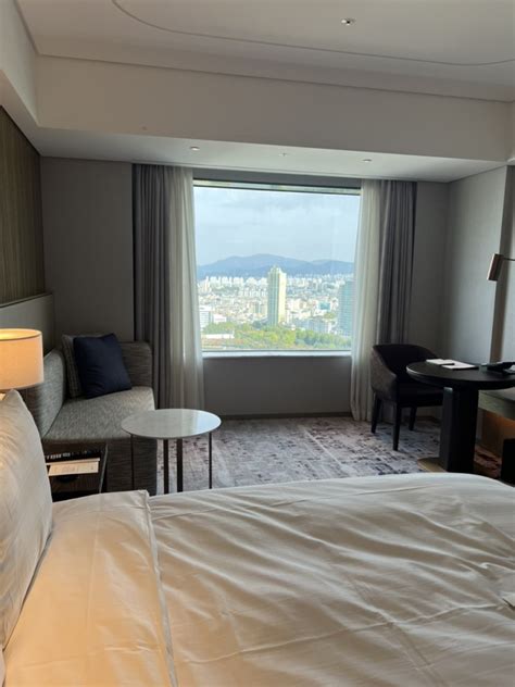 서울 호캉스 추천 롯데호텔 월드 호수뷰 디럭스 더블 롯데월드 원더도어 패키지로 생일 보낸 내돈내산 후기 네이버 블로그