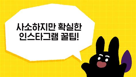 소비자가 한 번 더 보는 인스타그램 콘텐츠 꿀팁 캐러셀 스토리 고구마팜
