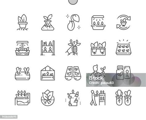 수경 온실 농업과 원예 성장하는 식물 땅에 새싹 픽셀 완벽한 벡터 얇은 선 아이콘입니다 간단한 최소 픽토그램 수경 재배에 대한 스톡 벡터 아트 및 기타 이미지 Istock
