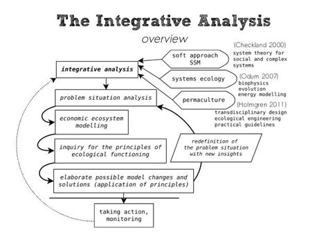 What Is The Integrative Analysis