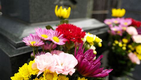 Morta La Giornalista Daniela Mazzacane Lultimo Post Per Il Marito