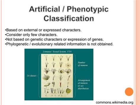 Microbial Taxonomy And Classification System Pptx Biological