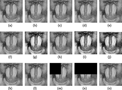 Sample Of Attacked Watermarked Images A Gaussian Noise Addition With