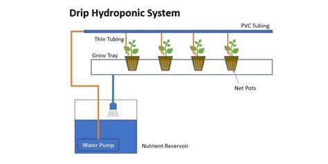 The Best Pros And Cons Of Drip Hydroponic System Is It Worth It South Elmonte Hydroponics