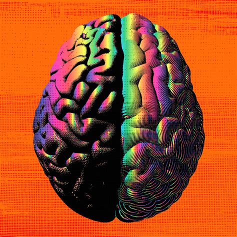 Nicotine Effects On Brain