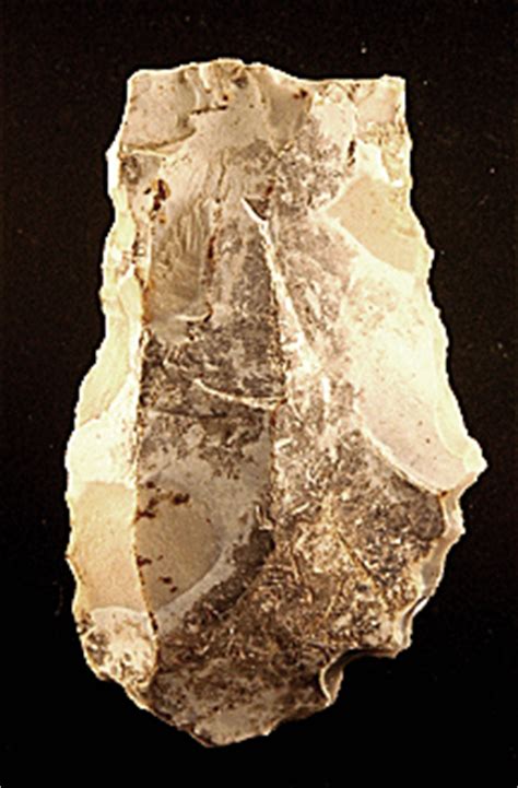 Mesolithic Flint Tools