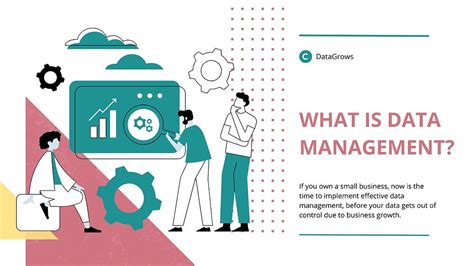 What Is Data Management