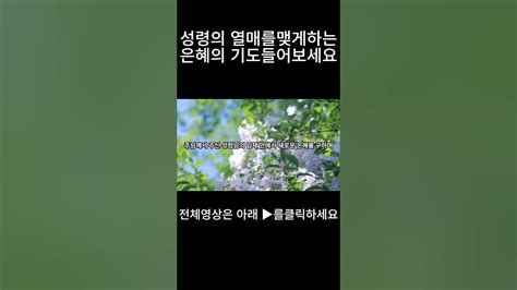 나의 삶속에 성령의 열매를 맺게하는 능력의 기도문 기도해보세요 기도문을 듣기만해도 능력이 나타나요 따라하는기도 말씀낭독 날기새 대표기도 분당우리교회 매일기도