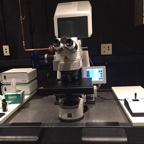 Zeiss 800 Upright Confocal Hooker Imaging Core