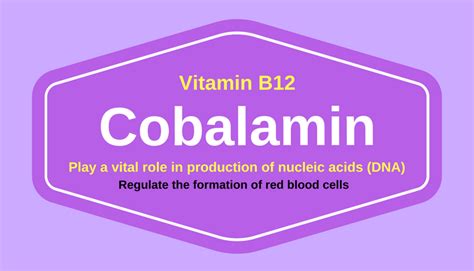 8 Amazing Health Benefits Of Cobalamin Vitamin B12 Ayur Times