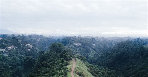 [statistics] Path Analysis