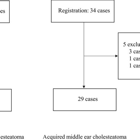 Patient Selection Algorithm For Acquired Middle Ear Cholesteatoma
