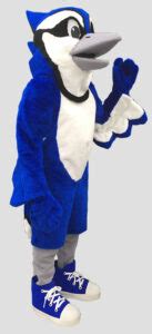 Mascot Ideas Which Mascot Is Right For You Olympus Mascots