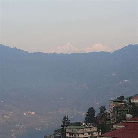 The Nettle And Fern Hotel Prices And Reviews Gangtok Sikkim