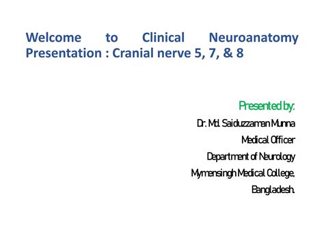 Cranial Nerves 5 7 8 Ppt