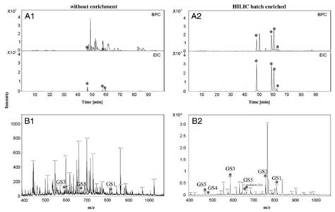 Separations Special Issue Monolithic Columns In Separation Sciences
