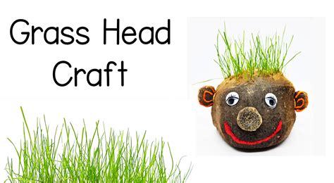 How To Make Grass Head Plants Play Learn Inspire