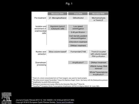 metagenomics and metatranscriptomics windows on cf associated viral