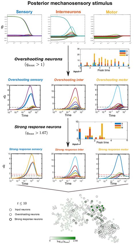 Figure S Operational Procedure Of Signal Propagation Analysis See Download Scientific