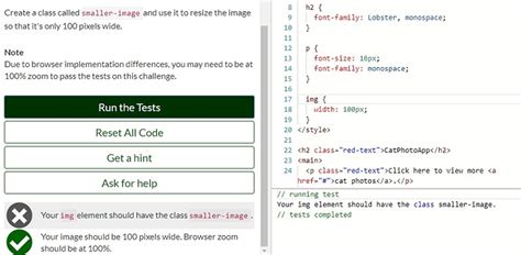 CSS Size Your Images HTML CSS The FreeCodeCamp Forum