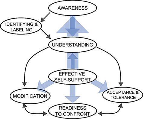 The Adaptive Coping With Emotions Model Berking And Whitley 2014