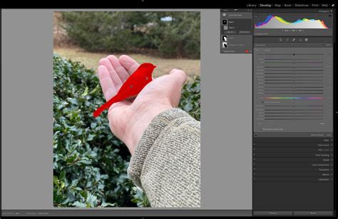 Select Objects Lightroom Killer Tips