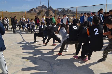 ШУТИС ИЙН ХАРЬЯА ЕРӨНХИЙ БОЛОВСРОЛЫН АХЛАХ СУРГУУЛЬ
