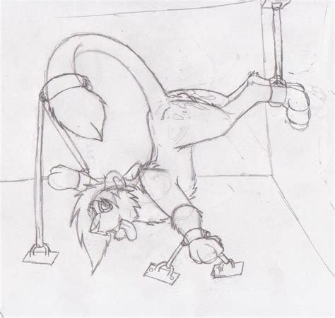 Rule 34 After Sex Animal Bad Kitties Balls Bondage Bound Cum Cum On