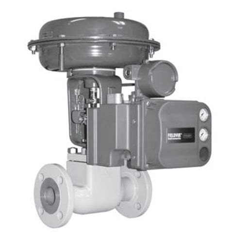 Pneumatically Actuated Valve Globe Control Ritm Industry