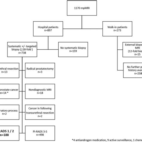 prostate cancer in pi rads scores 1 and 2 version 2 1 a comparison to
