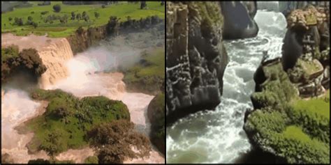 Github Hzlab2023chenneuripsmindvideo Repository For Cinematic Mindscapes High Quality