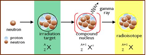 Radioisotopes