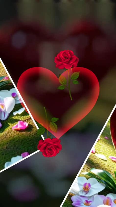 Offlineboy Offlinelovers Videos With Original Sound Ak Creation