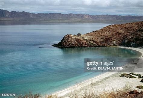 Mulege Photos And Premium High Res Pictures Getty Images