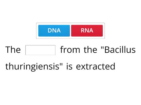 Steps In Producing Bt Corn Missing Word