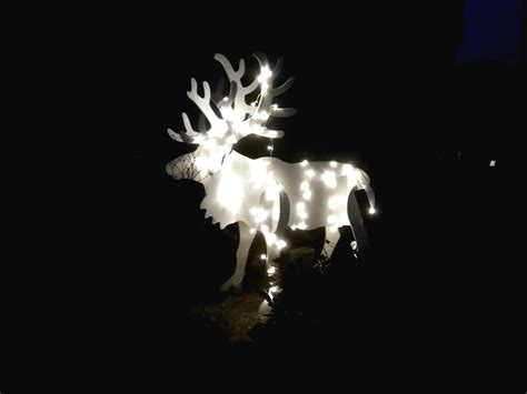 Северный олень из фанеры своими руками (14 фото). Идея для дачи - Фазенда