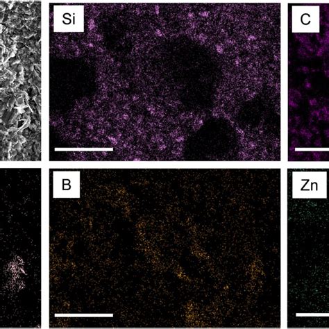 Semedx Elemental Mapping Of A Cross Section Fracture Of The Epoxy