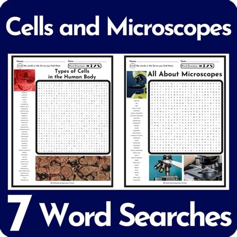 Intro To Cells And Microscopes Bundle Cell Membrane Structure Microbiology
