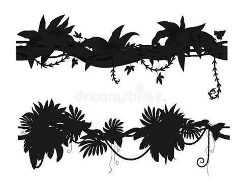 Amazon Rainforest Jungle Liana Branch Silhouette Stock Vector