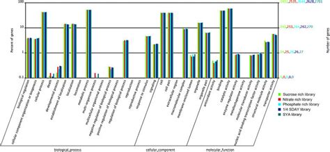 Histogram Of Go Classification Of Putative Gene Functions From The Five