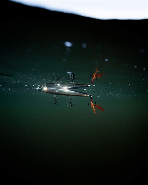 Dassen Eiland Visvang