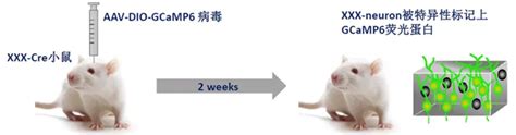 光纤记录详解，一文带你详细了解光纤记录实验！ 知乎