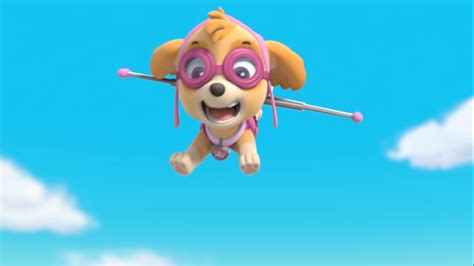Cute Paw Patrol Wallpapers Wallpaper Cave