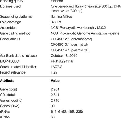 Genome Sequencing Project Information And Enterococcus Faecium Genome Download Scientific
