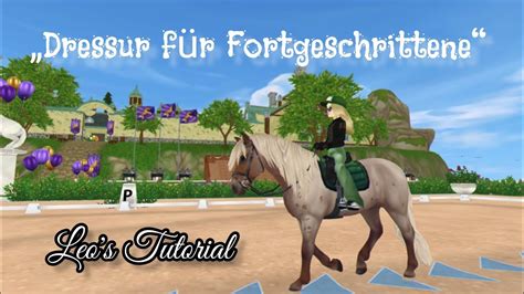 „dressur Für Fortgeschrittene“ Tutorial Youtube