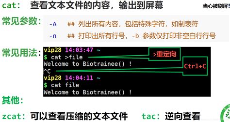 Linux系统介绍 文本查看、操作、统计命令（headtail Cattac Lessmore • Wc Sort Uniq • Cut