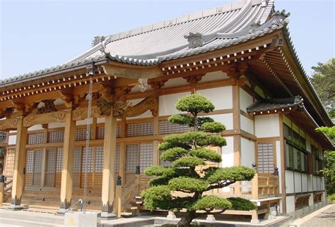 Shikkui Plaster Tagawa Shikkui Labs Shikkui Plaster Luxury Lime