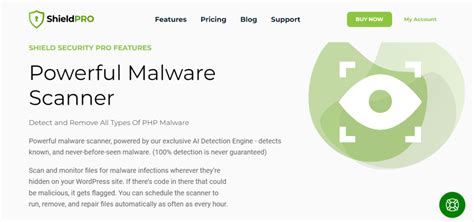Safeguard Your WordPress Site Manual Automatic Malware Removal WP Content